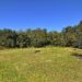 Oakleaf Hammock Homes for Sale | Ellenton Florida