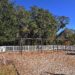 Oakleaf Hammock Homes for Sale | Ellenton Florida